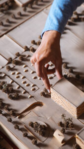 Space Design Courses & Interior Design Courses | TDV